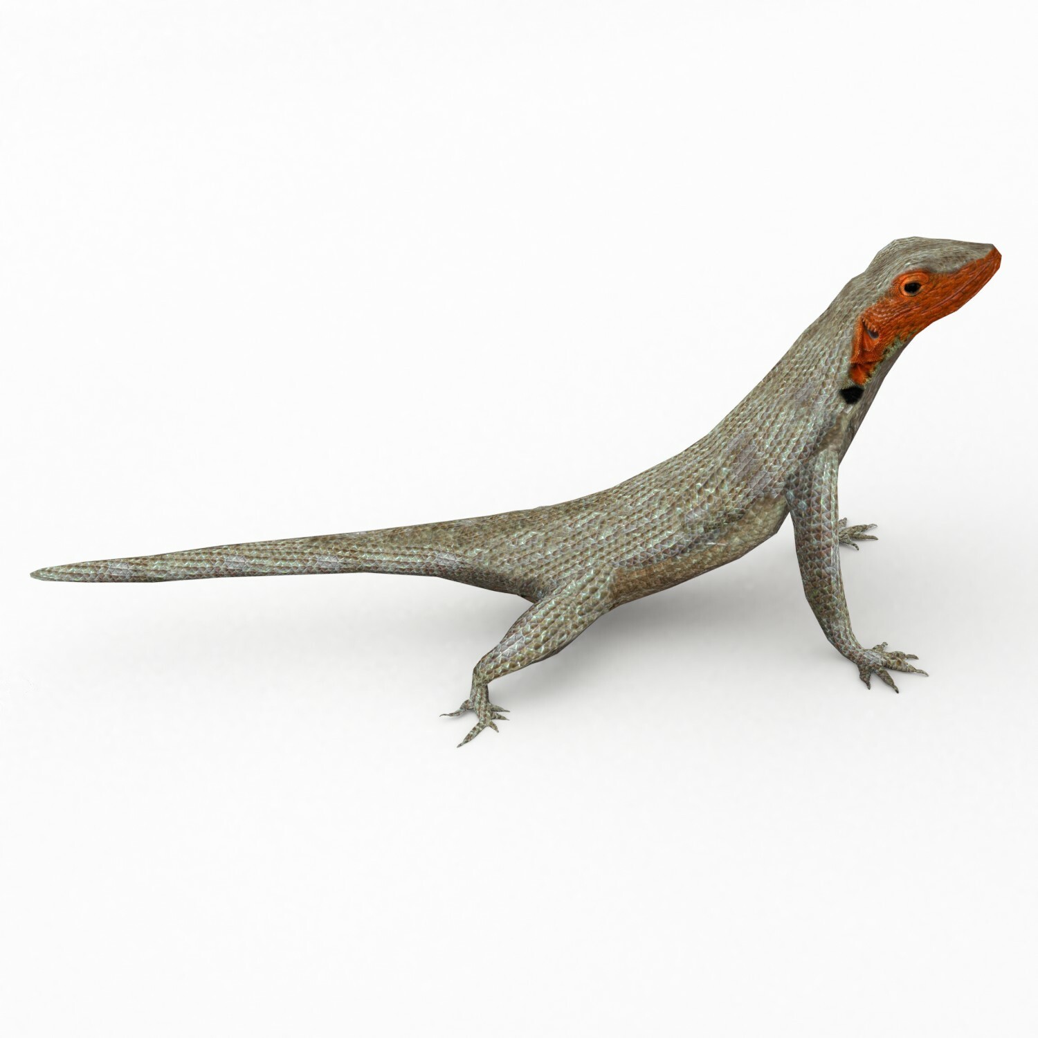 ArtStation - Lava Lizard | Resources