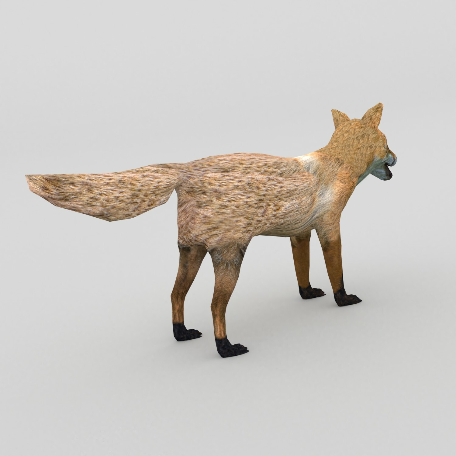 ArtStation - Red Fox | Resources