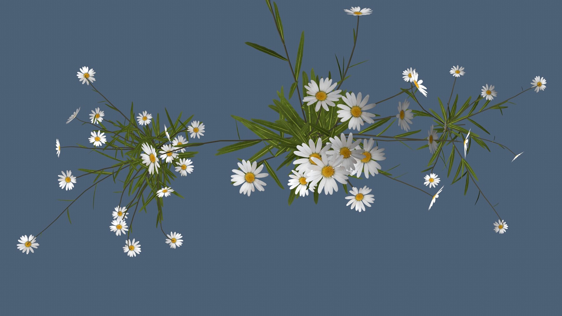 ArtStation - Chamomile | Resources