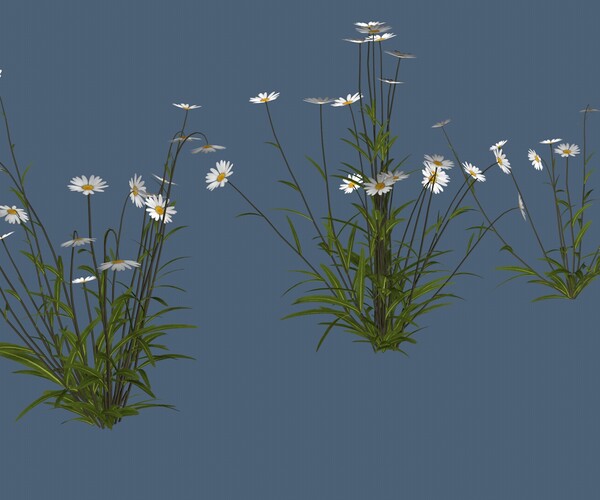 ArtStation - Chamomile | Resources