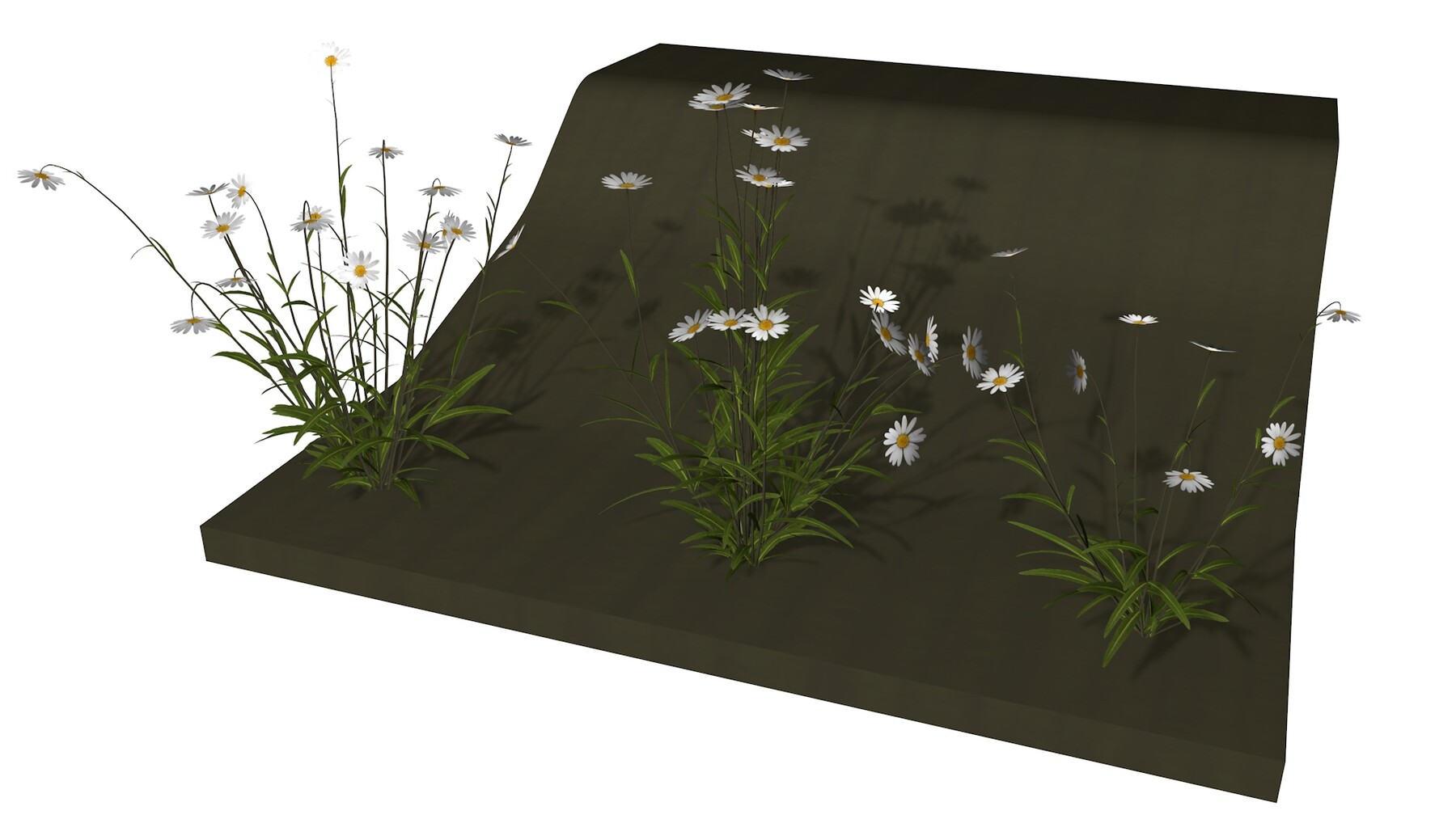 ArtStation - Chamomile | Resources