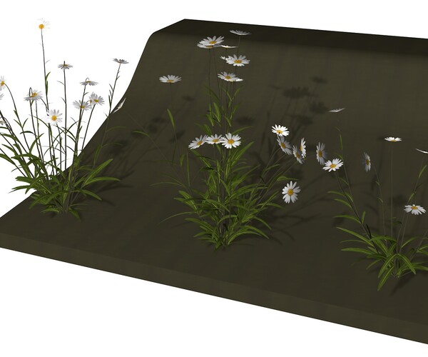 ArtStation - Chamomile | Resources