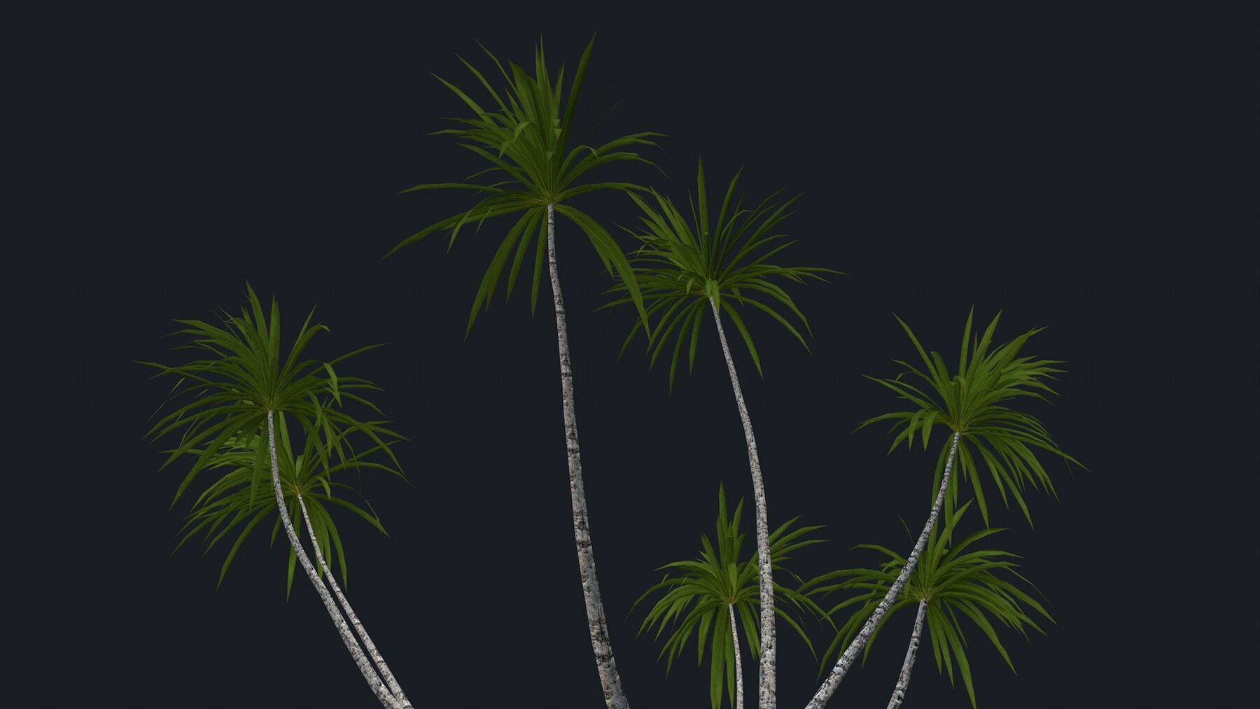 ArtStation - Palms | Resources