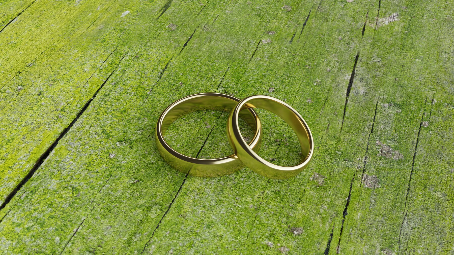 ArtStation - Weeding ring on moss wood | Resources