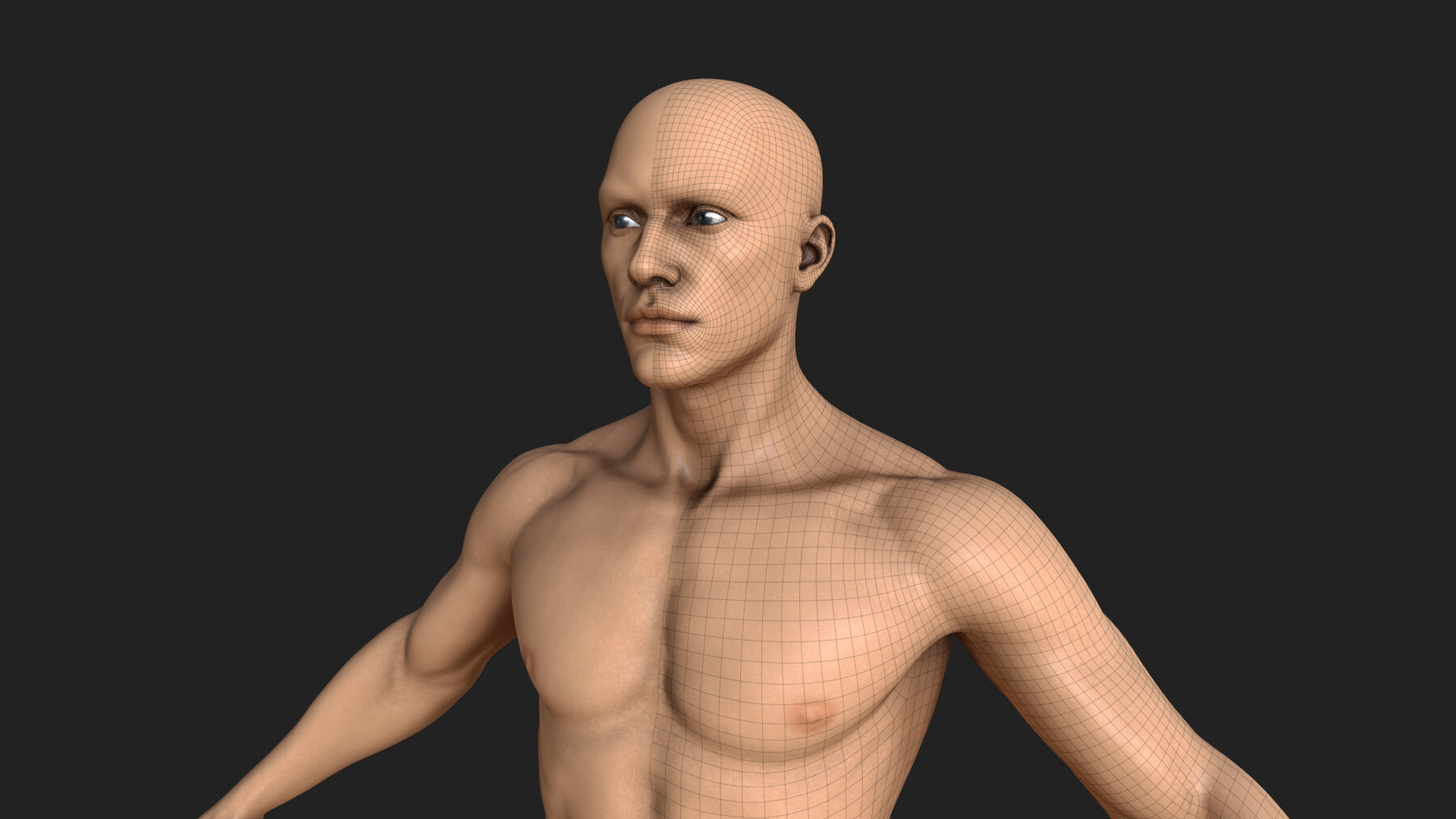 ArtStation - Realistic Human Male Basemesh | Game Assets