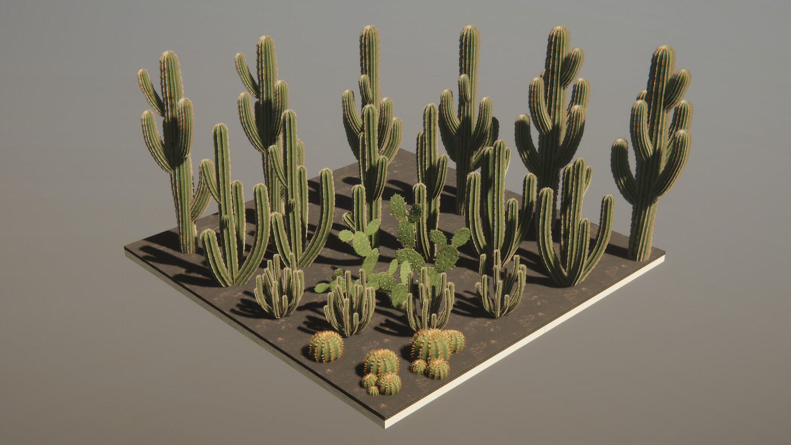 ArtStation - Cactus Package | Game Assets