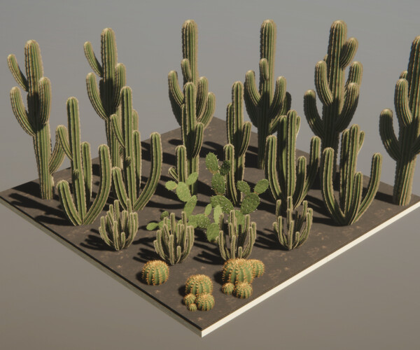 ArtStation - Cactus Package | Game Assets