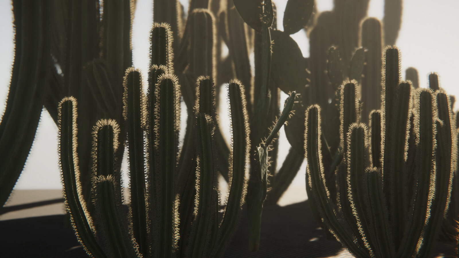 ArtStation - Cactus Package | Game Assets