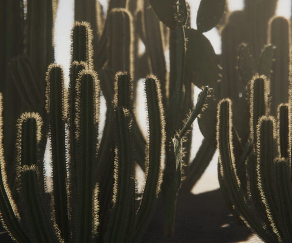 ArtStation - Cactus Package | Game Assets