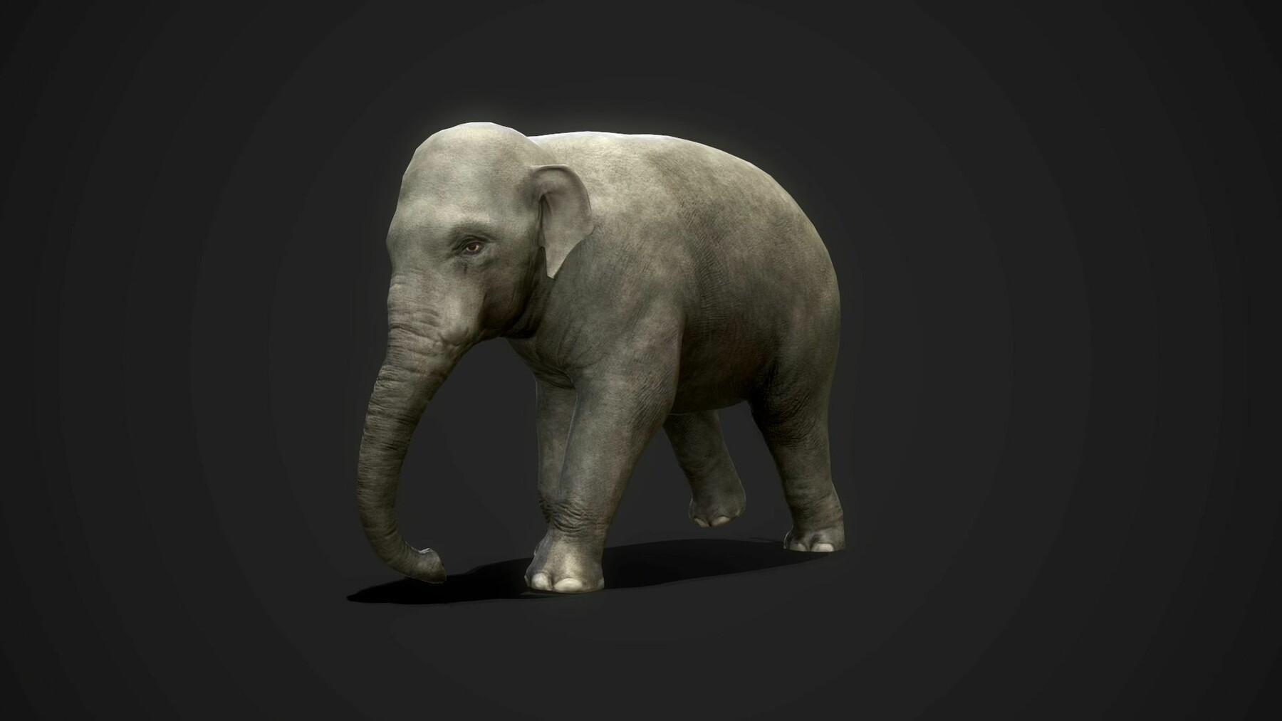 ArtStation - Asian Elephants - Game Ready | Game Assets