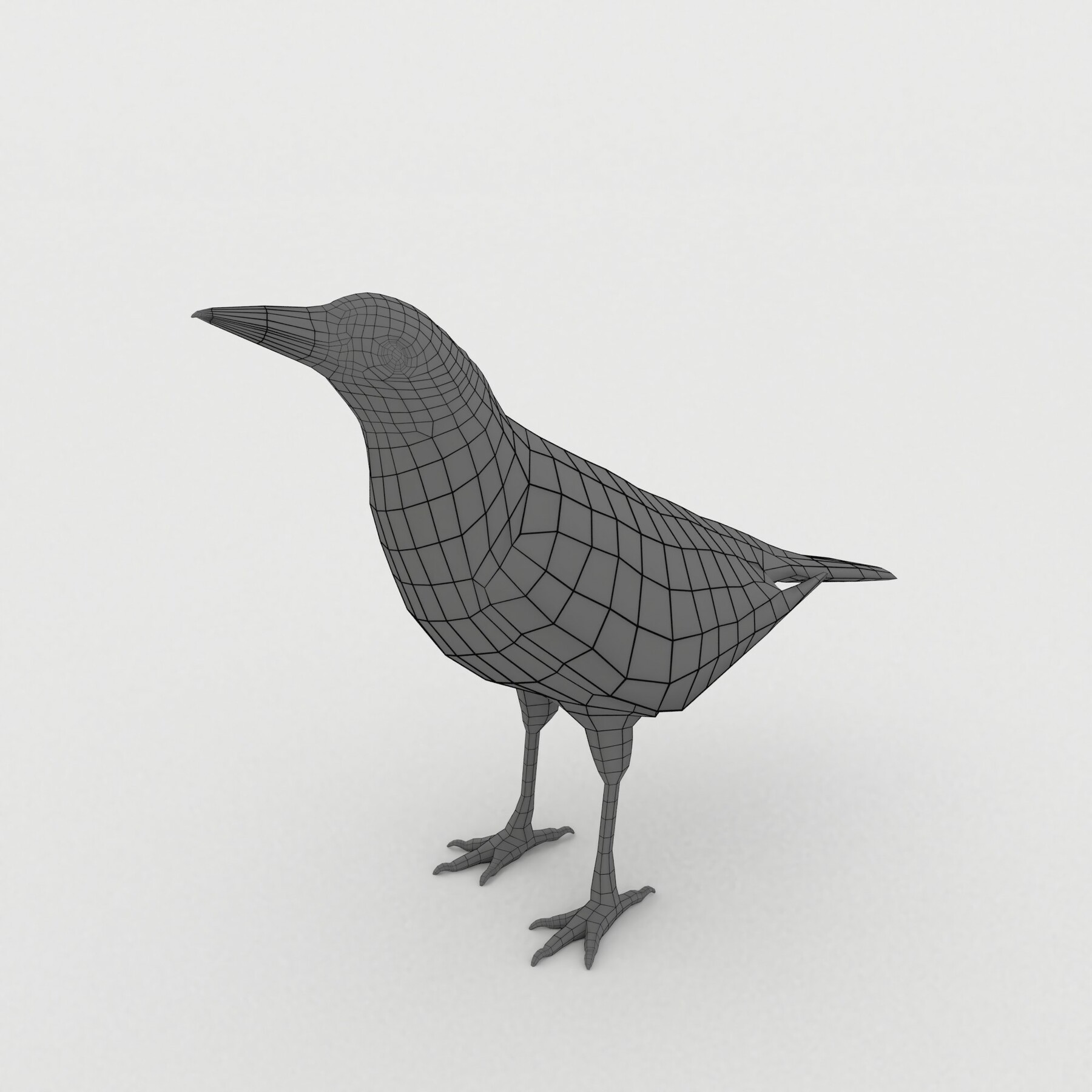 ArtStation - Magpie | Resources