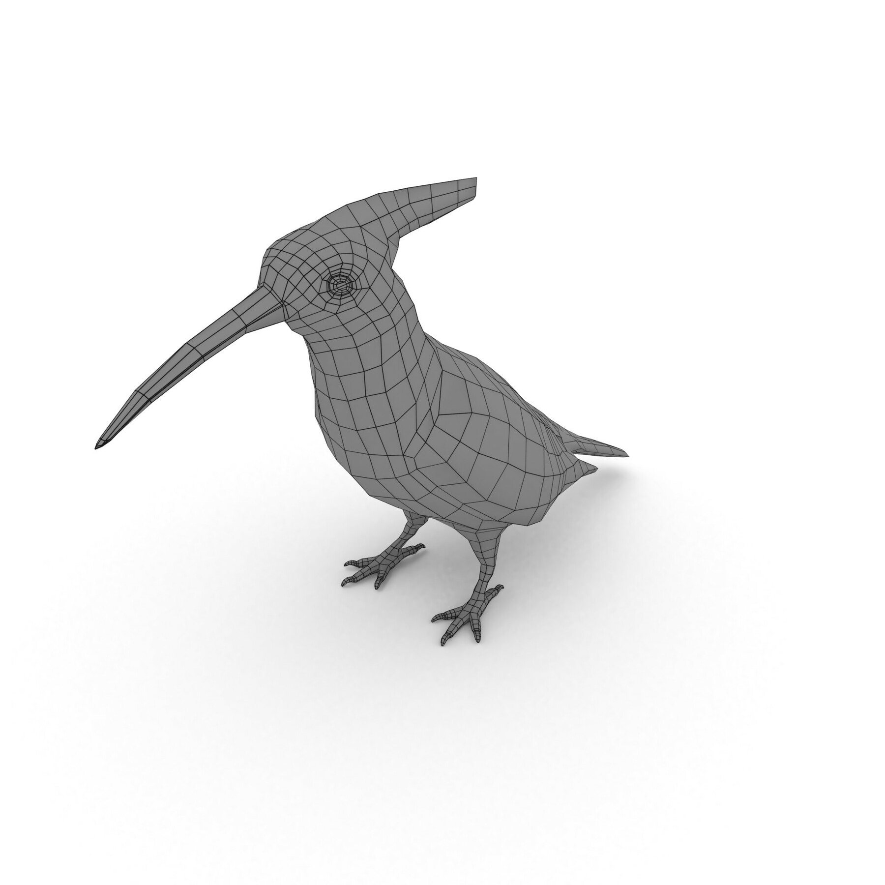 ArtStation - Eurasian hoopoe (Upupa epops) | Resources