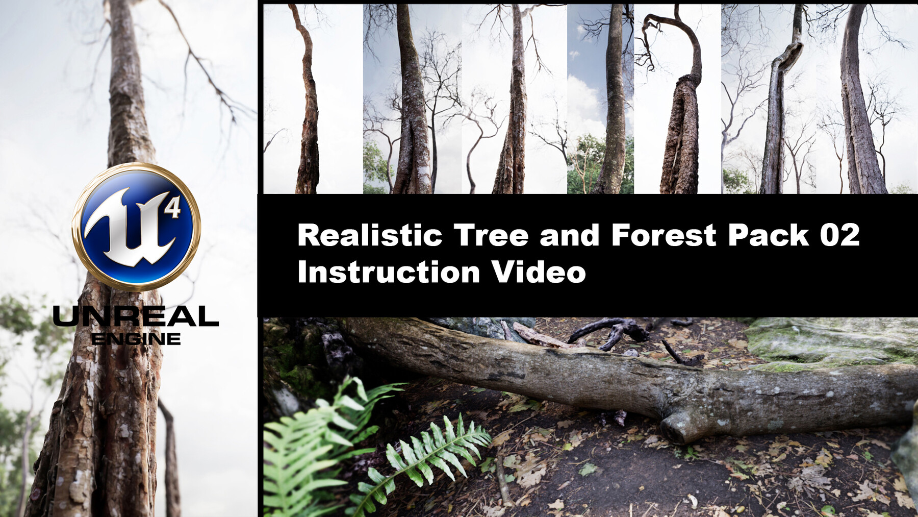 ArtStation - Realistic Trees and Forest Plants Pack | Resources