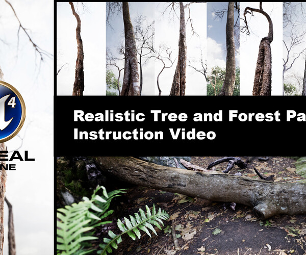 ArtStation - Realistic Trees and Forest Plants Pack | Resources