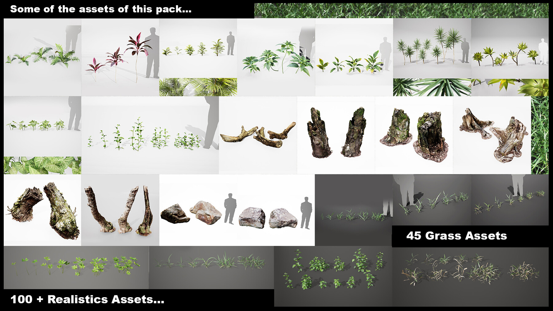 ArtStation - Realistic Plants and Grass Pack 02 | Resources