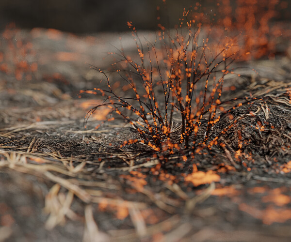 ArtStation - Burned Ground 3D model | Resources