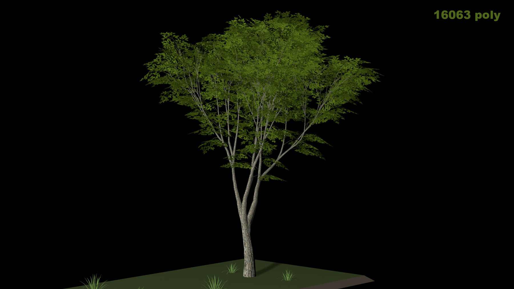 ArtStation - Five low poly trees | Resources