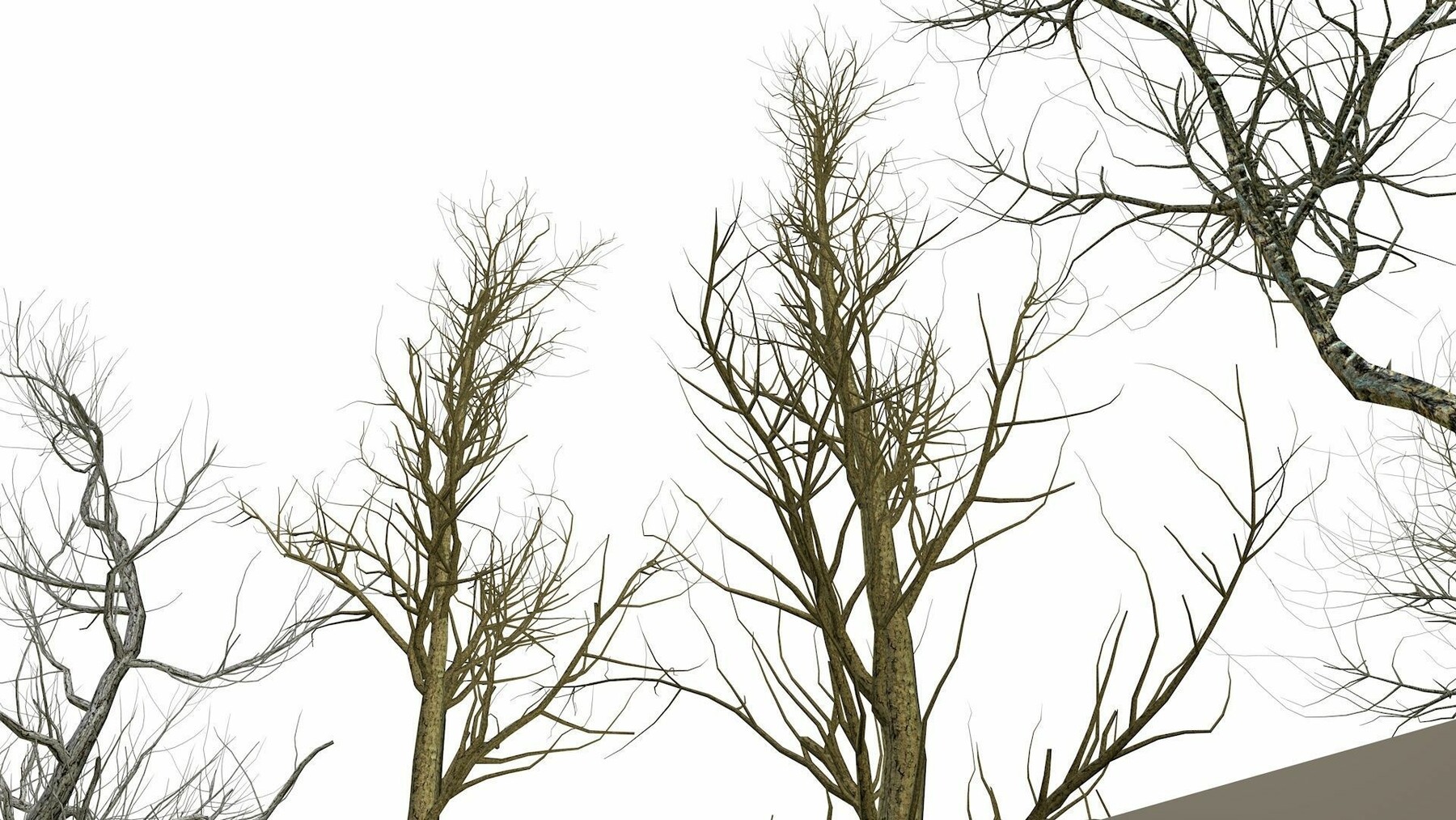 ArtStation - Bare trees Low-poly | Game Assets