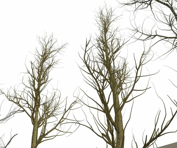 ArtStation - Bare trees Low-poly | Game Assets