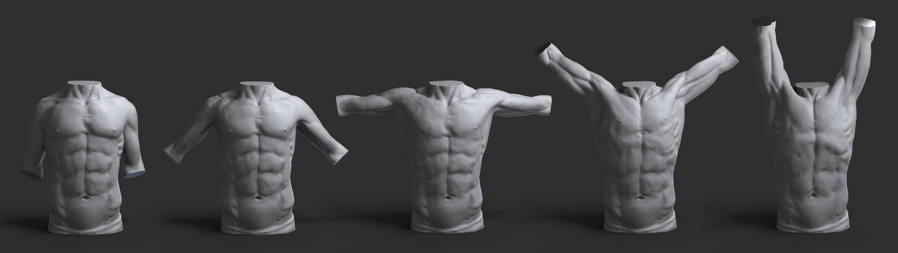 ArtStation - Moving male torso anatomy | Resources