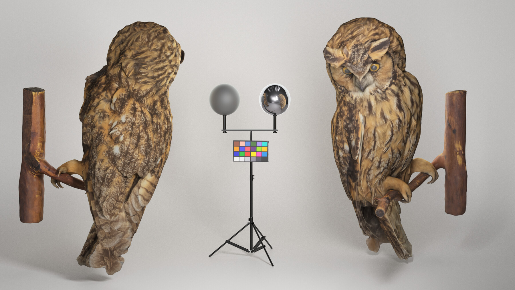 ArtStation - Owl 05 | Game Assets