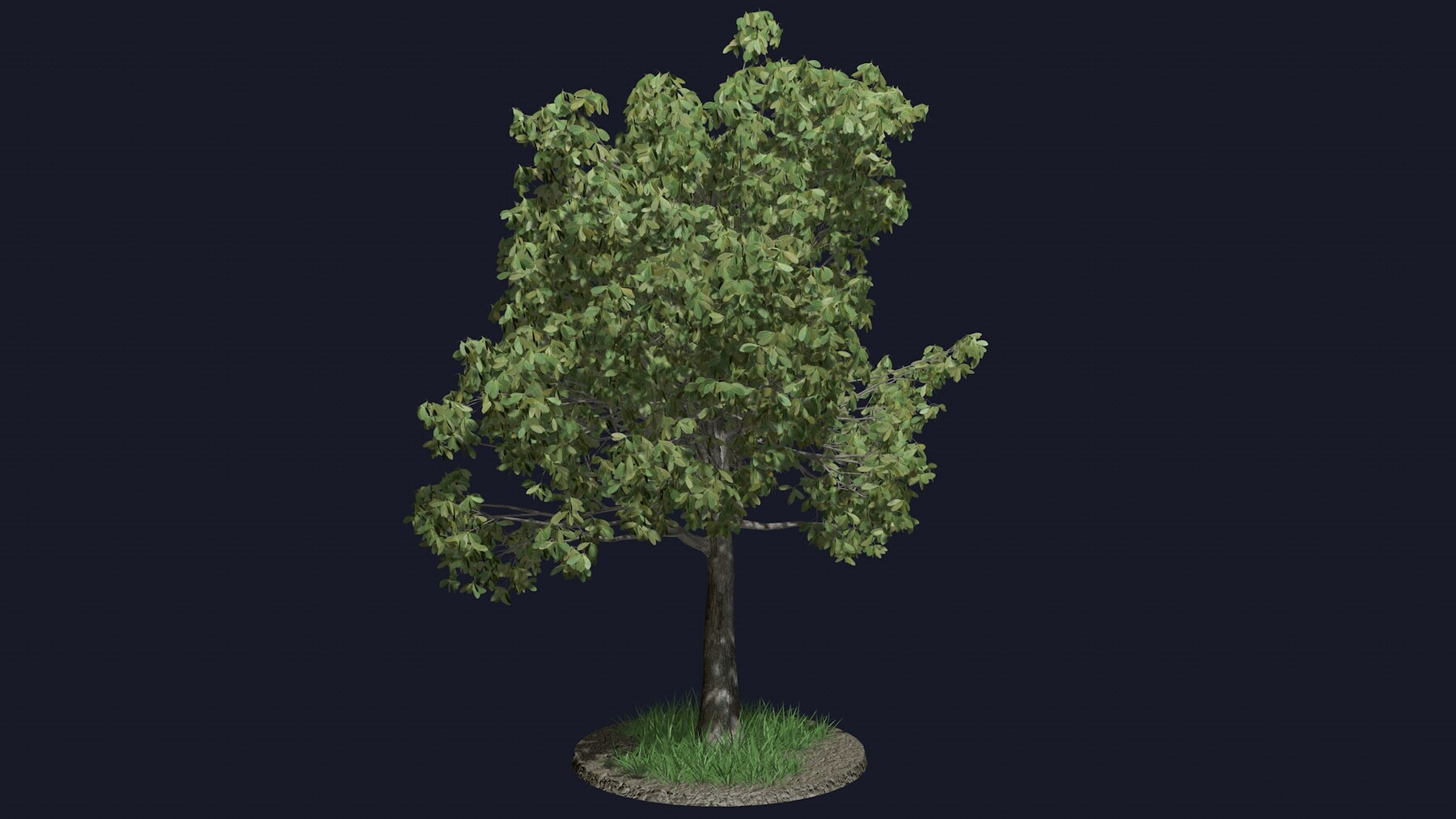 ArtStation - Tree - Broadleaf | Resources