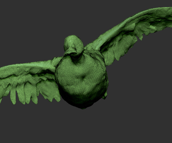 ArtStation - Flying duck 06 | Game Assets