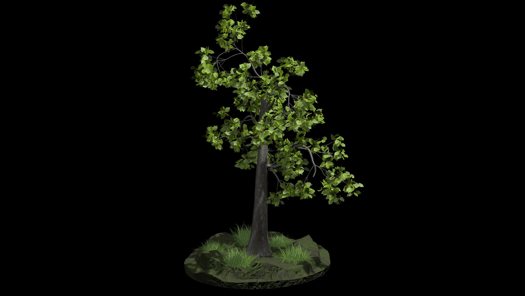ArtStation - Fairy tree | Resources