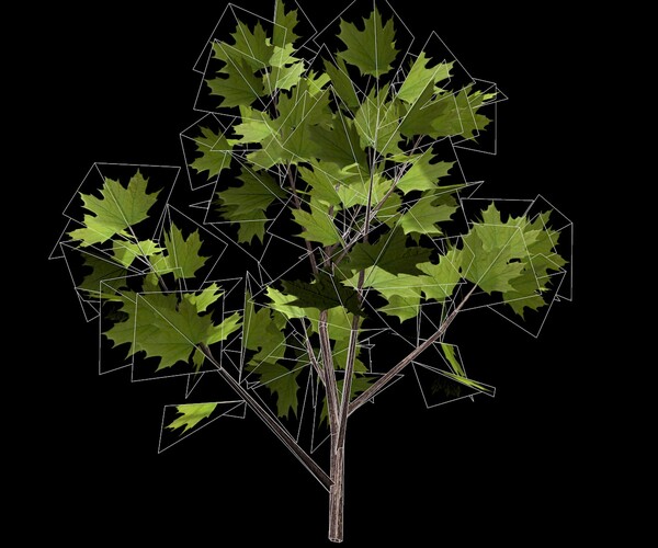 ArtStation - Maple branch | Resources