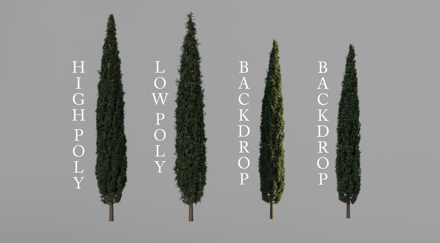 ArtStation - Tuscany cypress tree pack | Game Assets