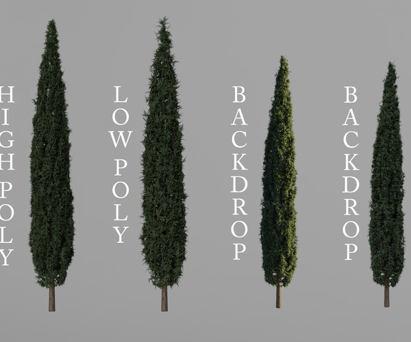 ArtStation - Tuscany cypress tree pack | Game Assets