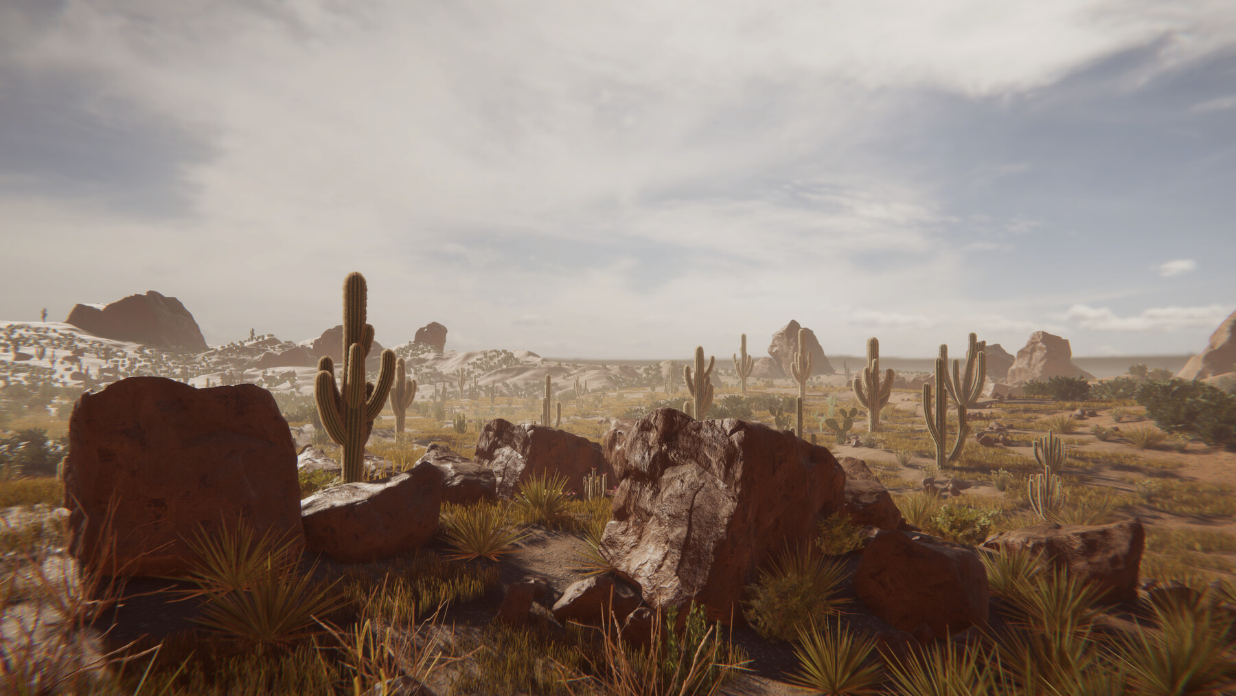 ArtStation - Mexican Desert (Unity Package) | Game Assets