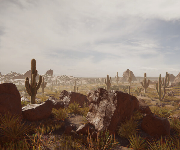 ArtStation - Mexican Desert (Unity Package) | Game Assets