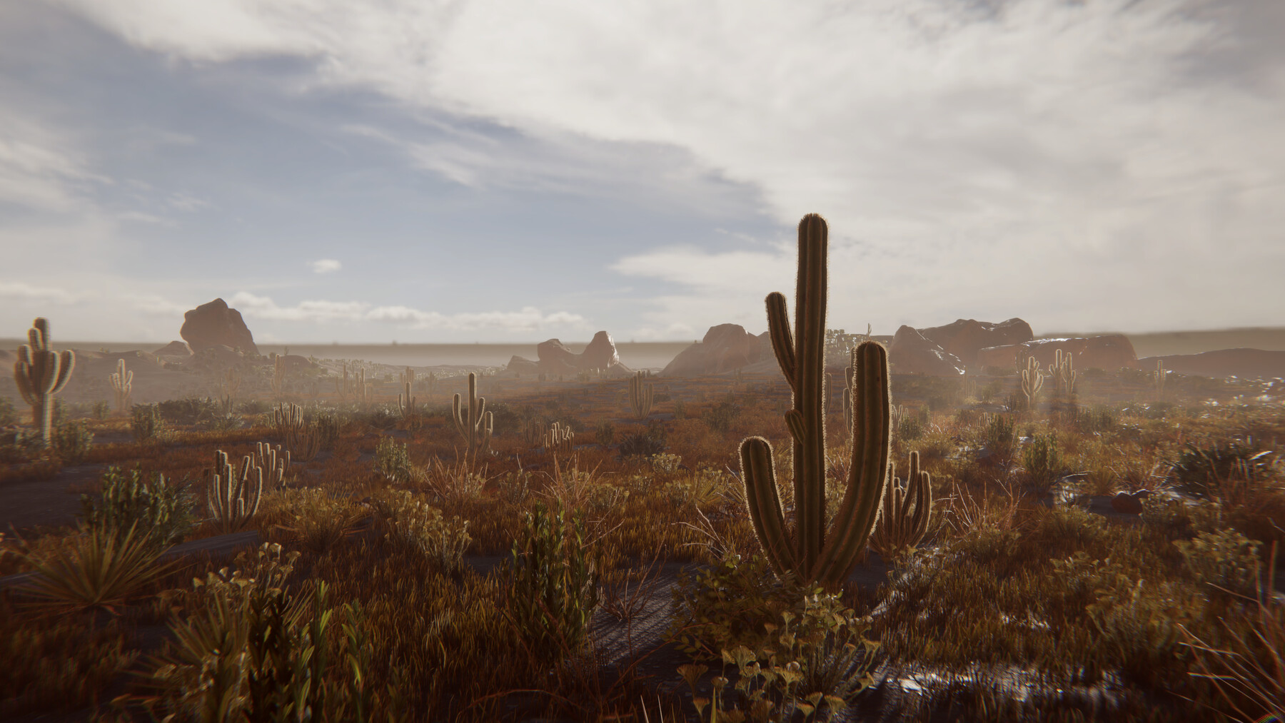 ArtStation - Mexican Desert (Unity Package) | Game Assets