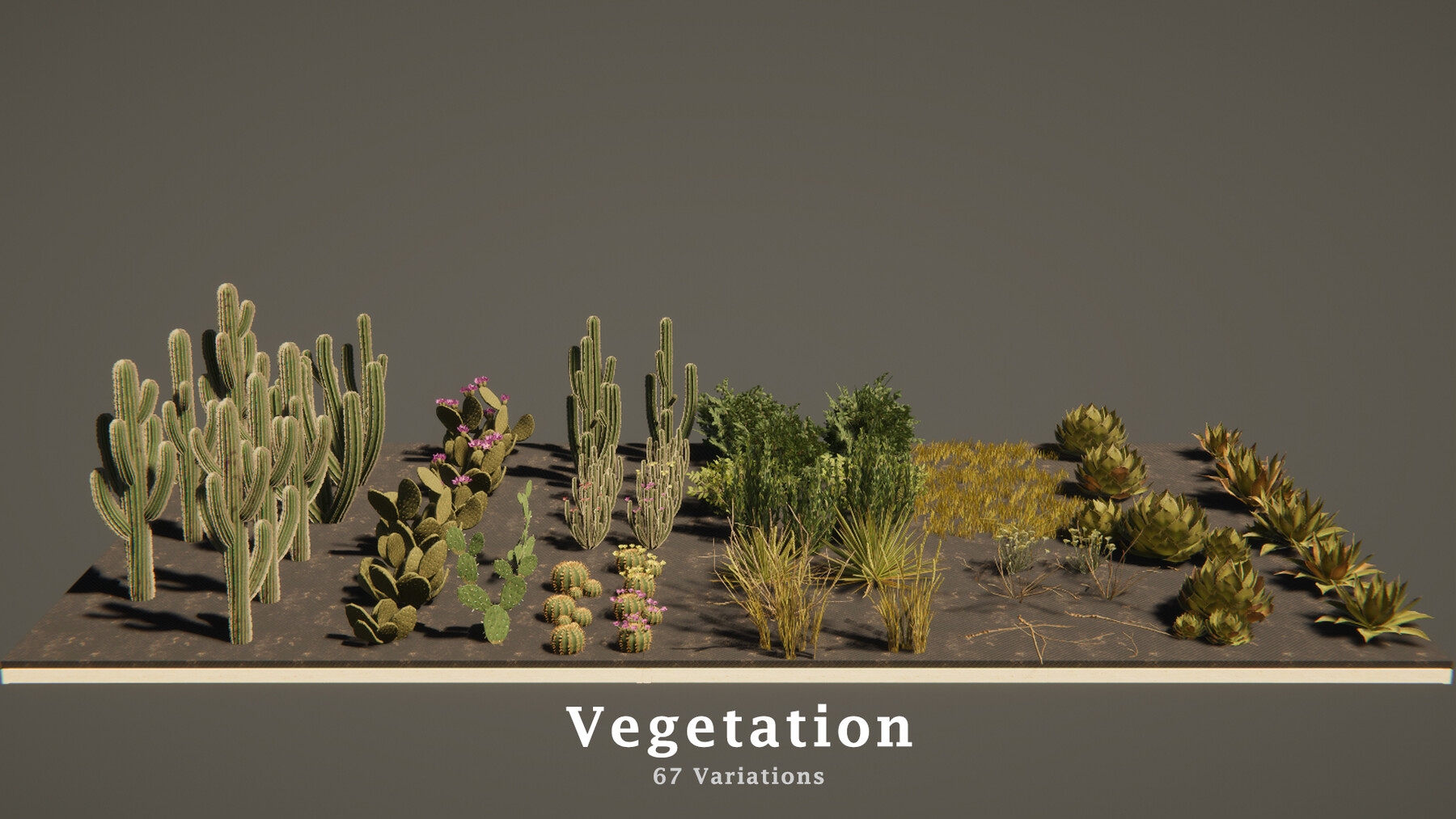 ArtStation - Mexican Desert (Unity Package) | Game Assets