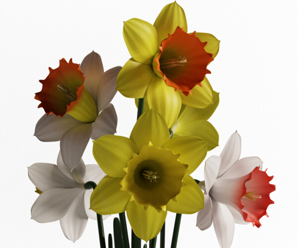 ArtStation - 3D Daffodils | Resources