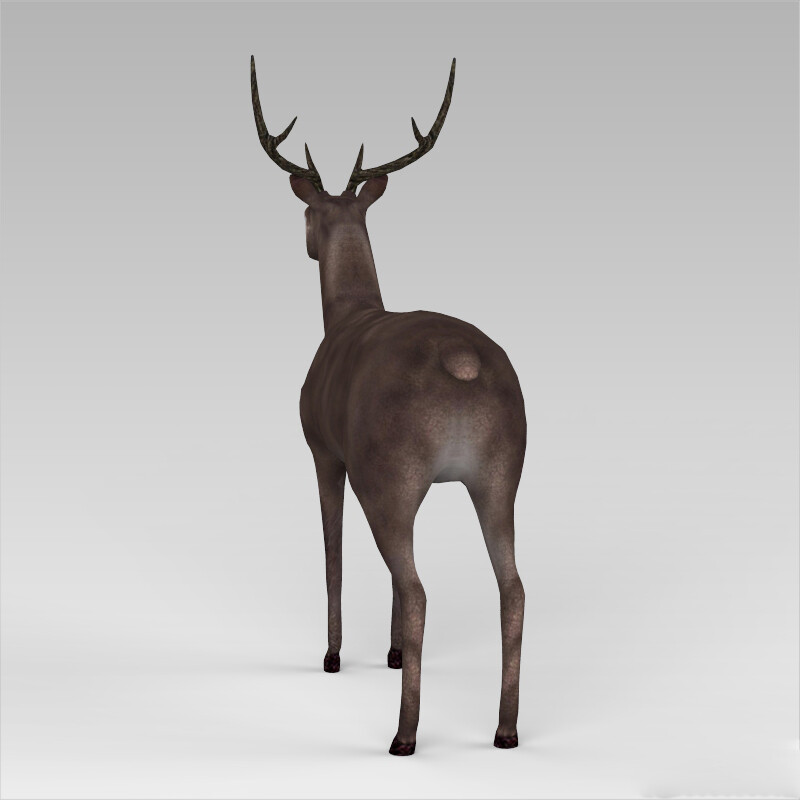 ArtStation - Low Poly Buck 3D Model | Resources