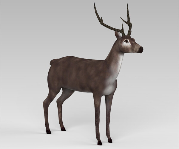 ArtStation - Low Poly Buck 3D Model | Resources
