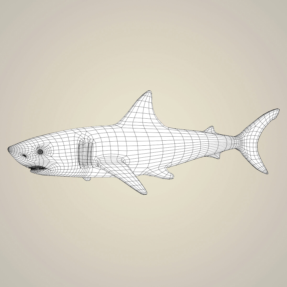 ArtStation - Realistic Shark 3D Model | Resources