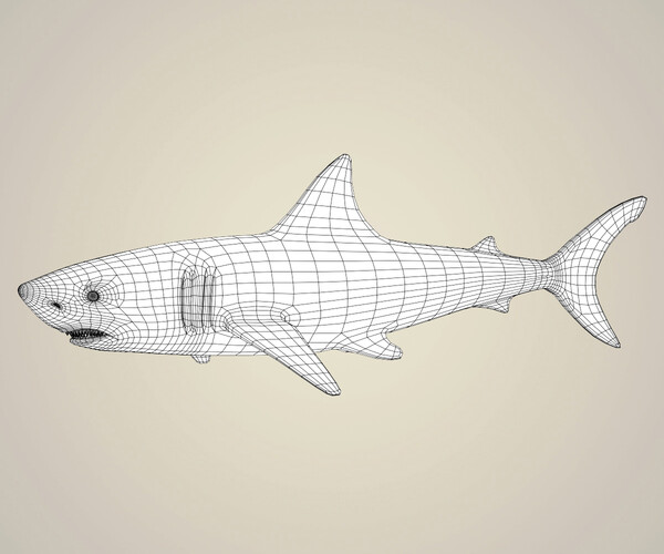 ArtStation - Realistic Shark 3D Model | Resources