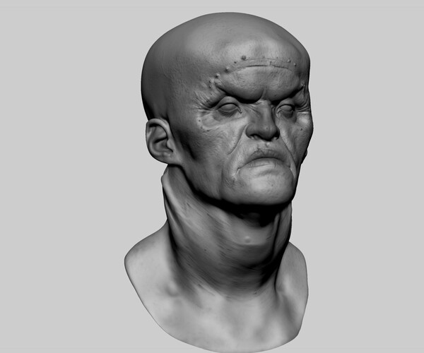 ArtStation - Creature Head 06 | Resources