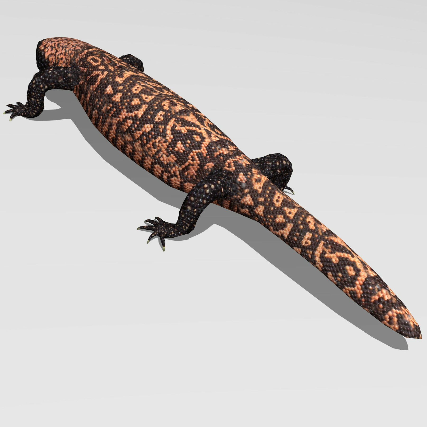 ArtStation - Gila monster | Resources