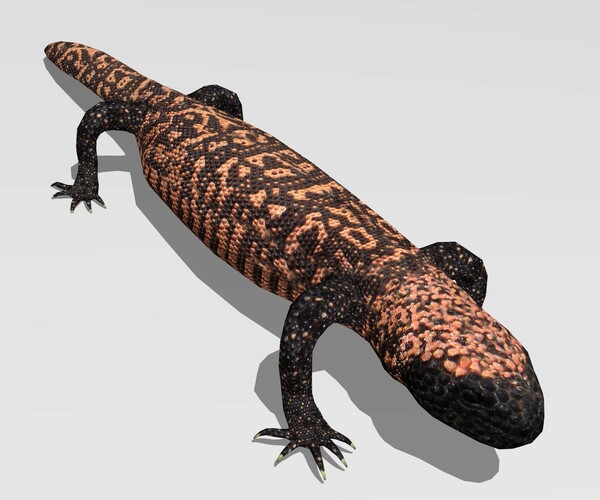 ArtStation - Gila monster | Resources