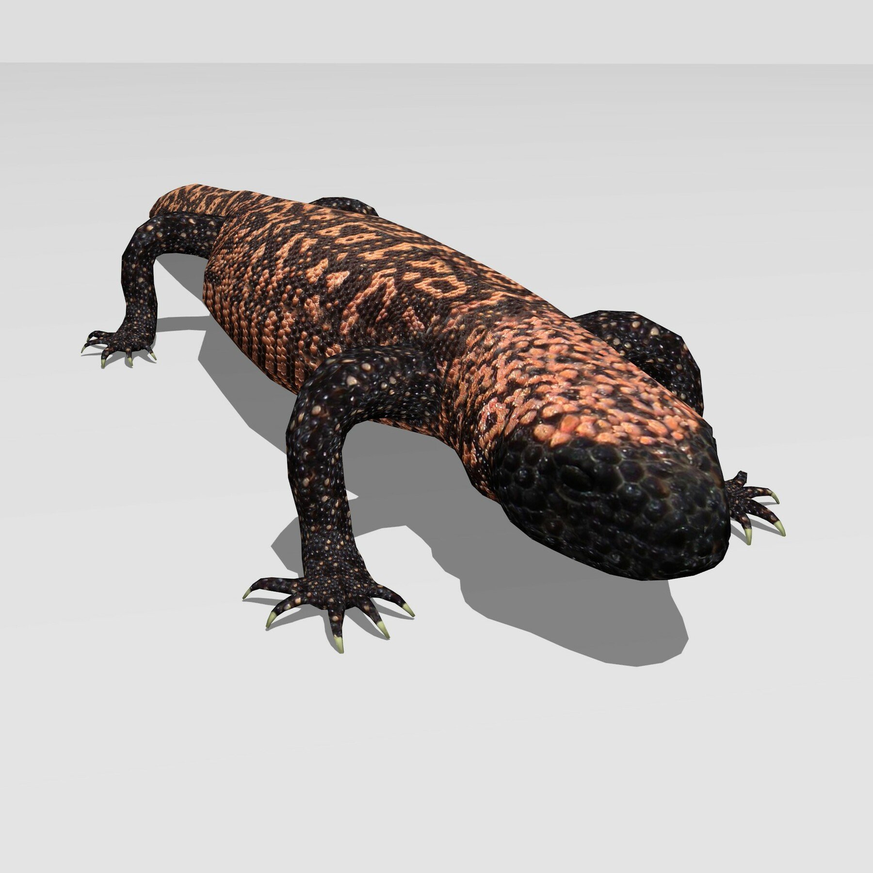 ArtStation - Gila monster | Resources