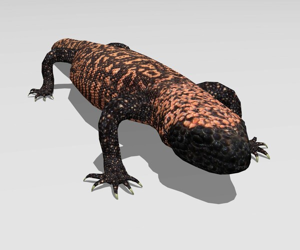 ArtStation - Gila monster | Resources