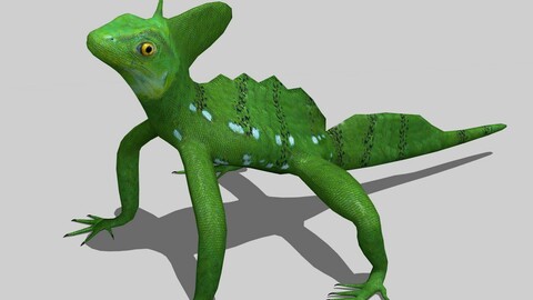 ArtStation - Basilisk lizard | Resources