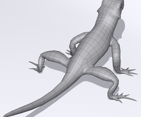 ArtStation - Agama Lizard | Resources