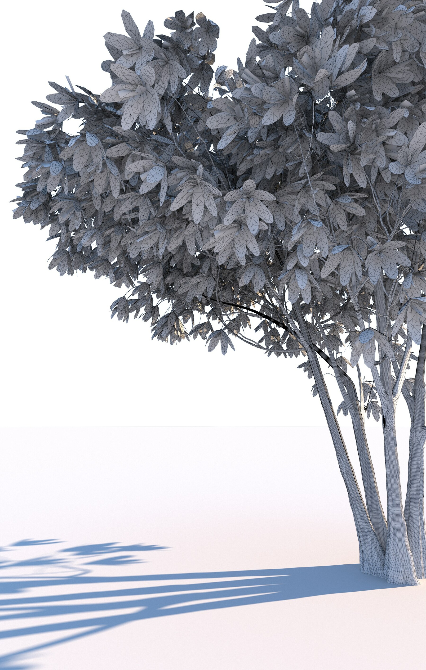 ArtStation - 3d models of multi bronze loquat tree eriobotrya deflexa ...