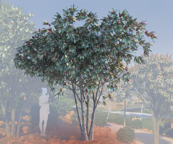 ArtStation - 3d models of multi bronze loquat tree eriobotrya deflexa ...