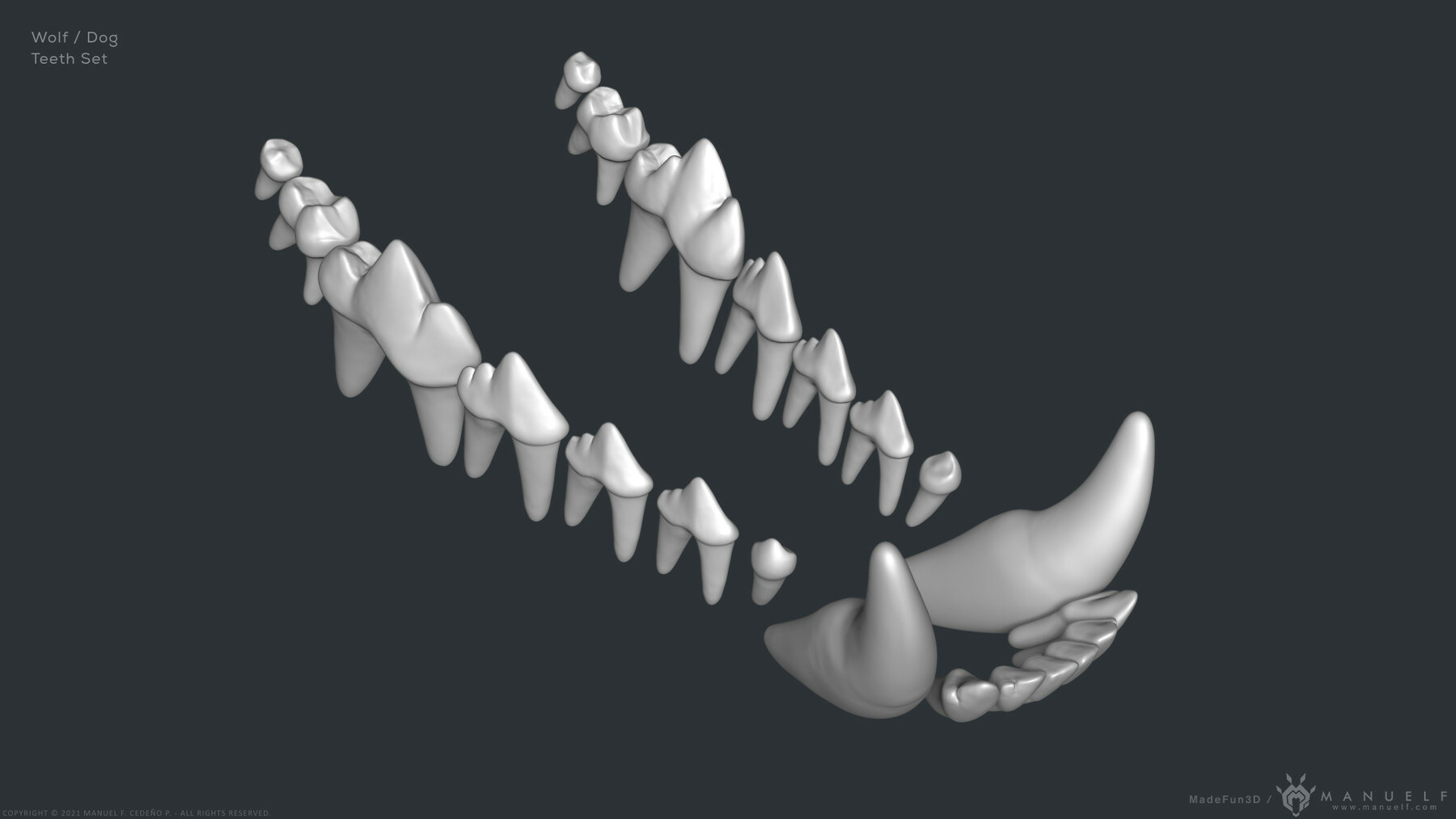 ArtStation - Wolf Dog Mouth and Teeth Set | Resources